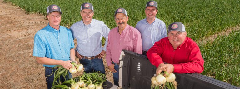 How Vidalia Onions are Grown Just For You at Shuman Farms - Roche Bros